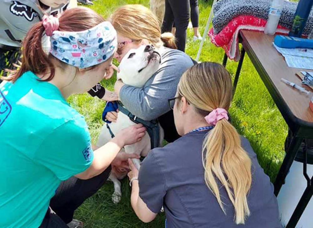 Events | Humane Society of Bay County | Michigan